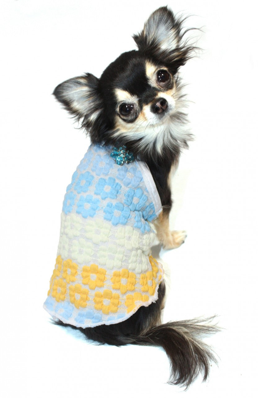 Dog Products – UPTOWN STRUT