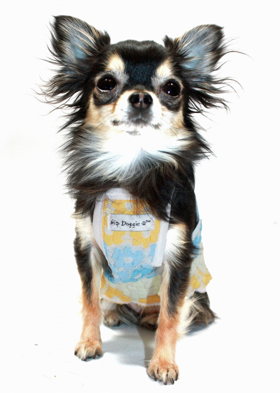 Dog Products – UPTOWN STRUT